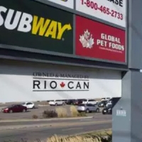 Matt Smith | RioCan Transforming Some Retail Shopping Centres Into ...