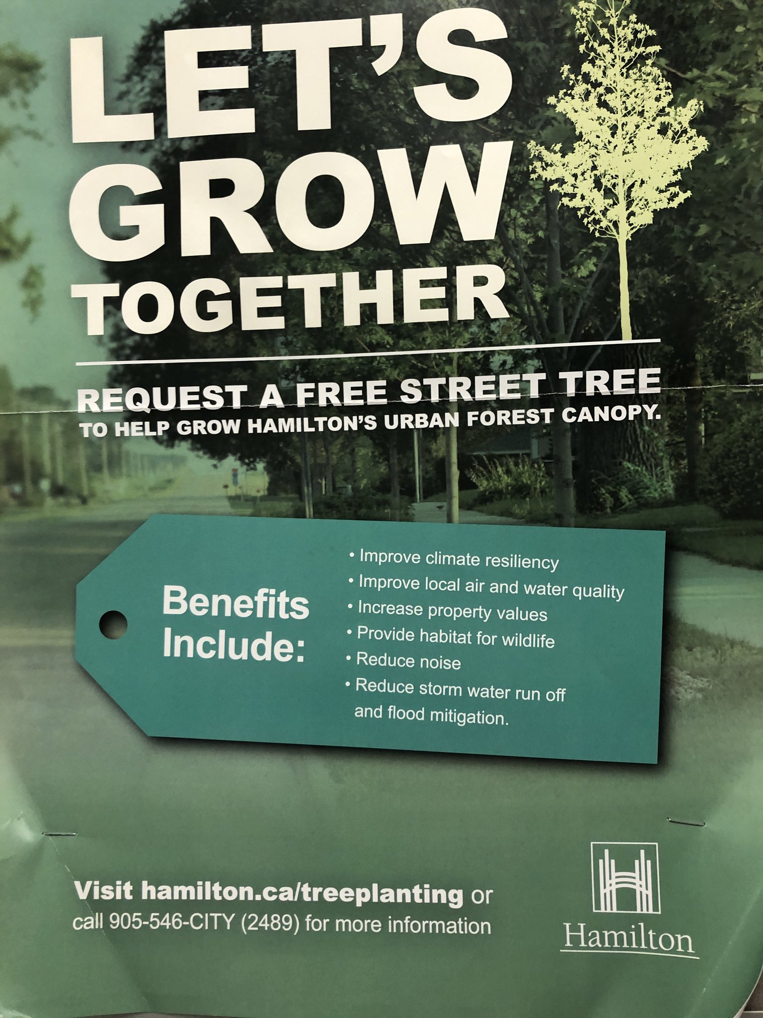 | City of Hamilton Offering Free Tree's to Homeowners!