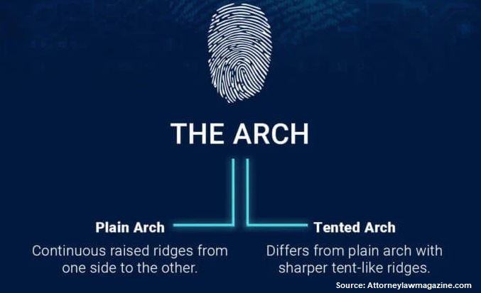 Nutty Scientists Canada | Unique Fingerprints